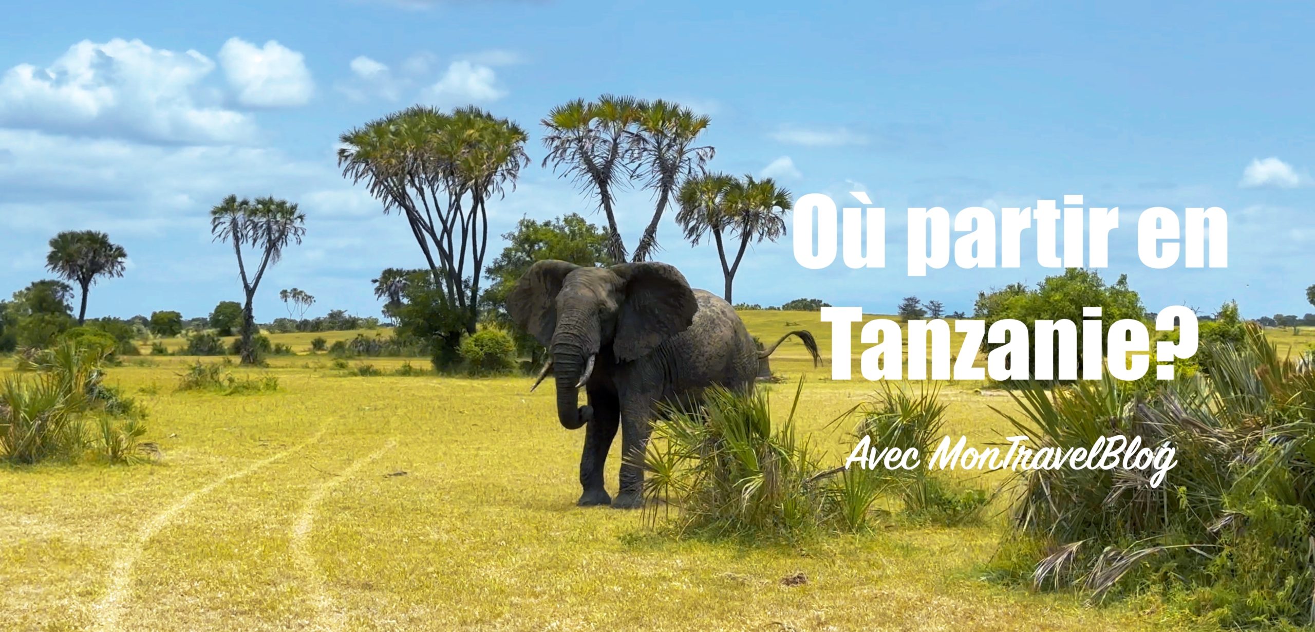 TANZANIE | Découvrez nos articles pour organiser votre voyage
